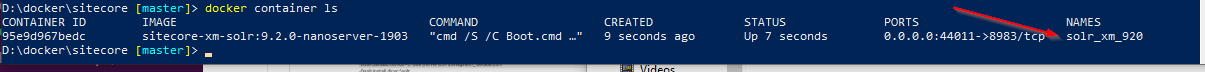 Yet Another Sitecore Docker Series Part 6 Simply Solr Rock Paper Sitecore 8885